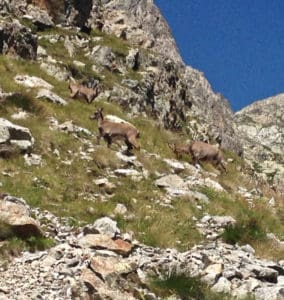 The Mercantour: Hiking To The Refuge De Nice – Italian Kiwi